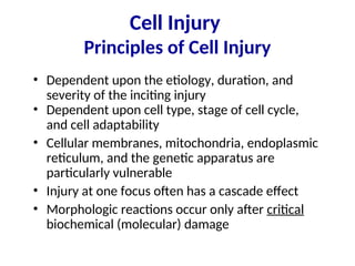 cell injury introduction & mechanisms for medicos | PPT