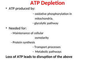 cell injury introduction & mechanisms for medicos | PPT