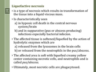 Cell injury l2 medical sept. 2018 | PPT