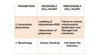 CELL INJURY | PPT