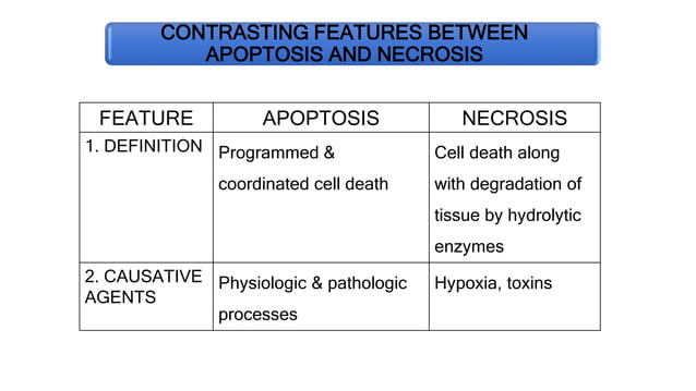 CELL INJURY | PPT