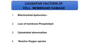 CELL INJURY | PPTX