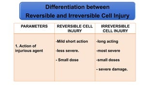 CELL INJURY | PPT