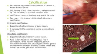 Cell injury lecture 3 | PPTX