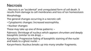 Cell injury, Mechanism of cell injury.pptx