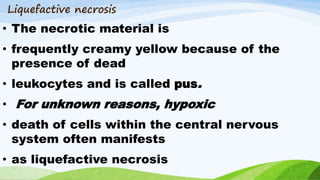 Cell injury