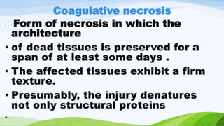 Cell injury