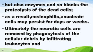 Cell injury