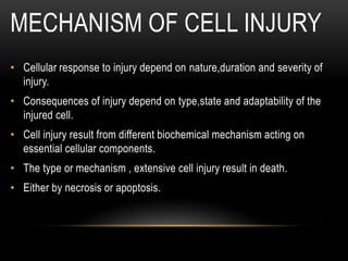 Cell injury | PPTX