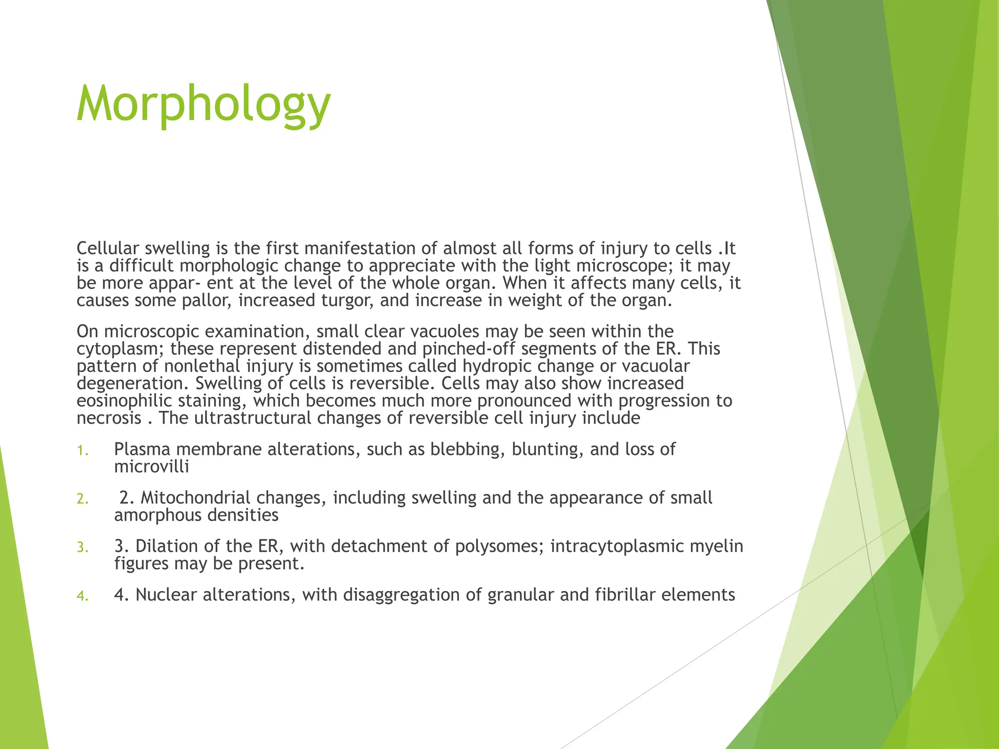 CELL INJURY NEW.pathology of cell injury .pptx