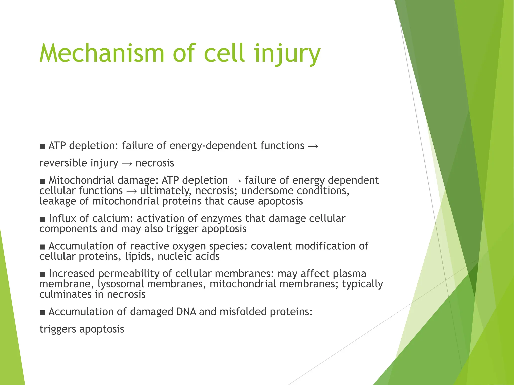 CELL INJURY NEW.pathology of cell injury .pptx