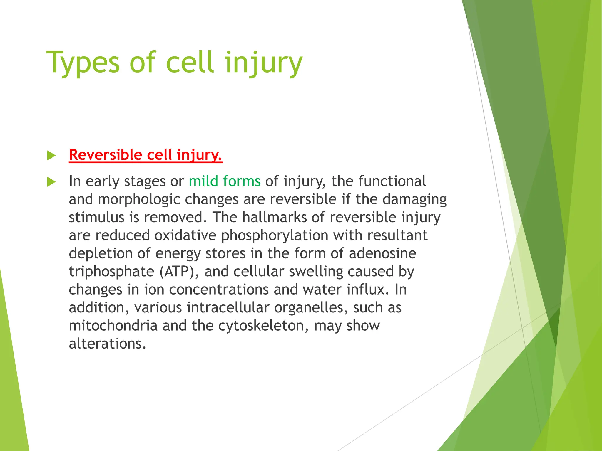 CELL INJURY NEW.pathology of cell injury .pptx
