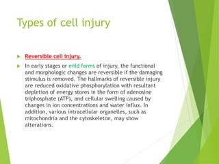CELL INJURY NEW.pathology of cell injury .pptx