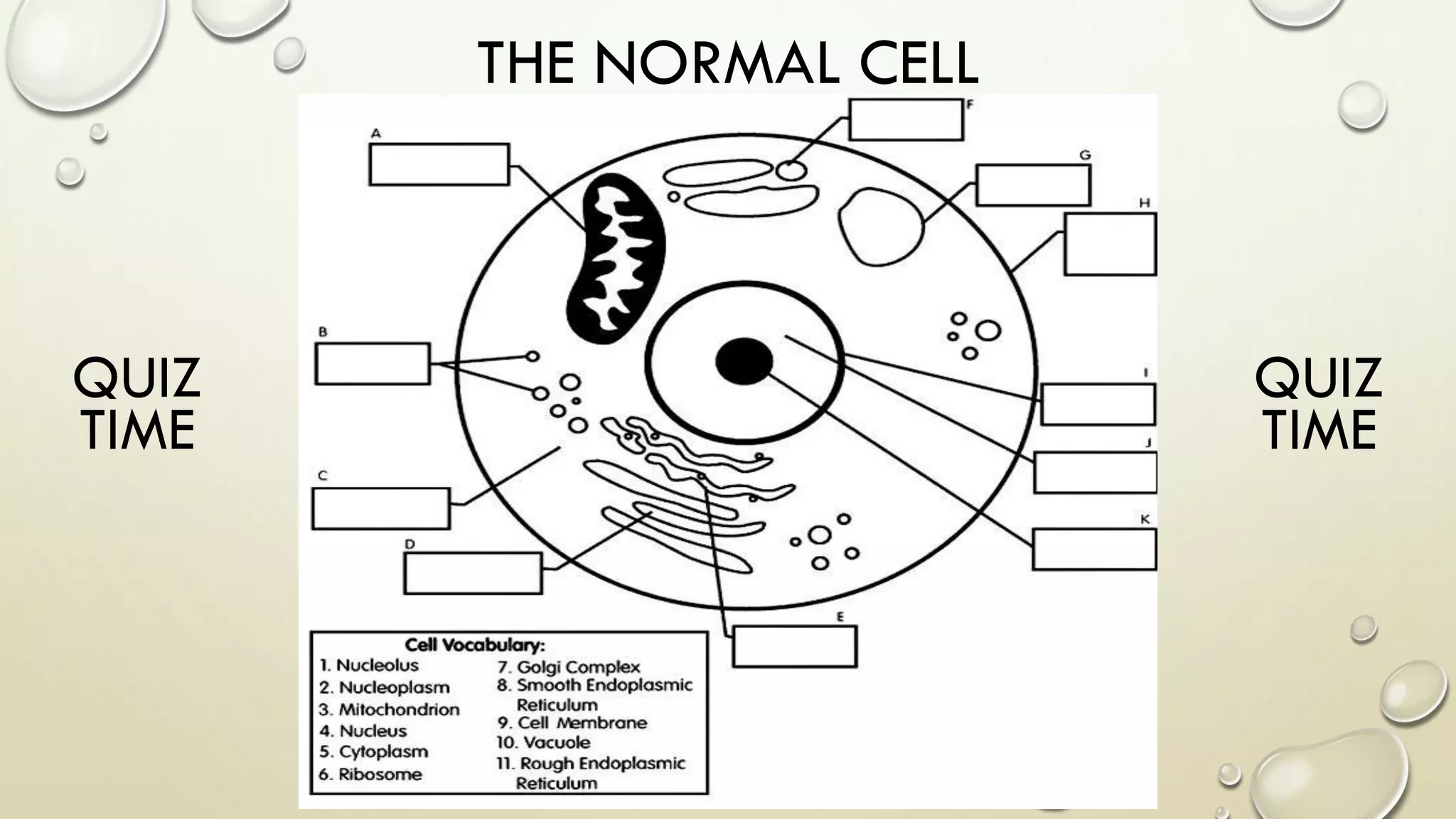 Cell injury pathophysiology | PDF