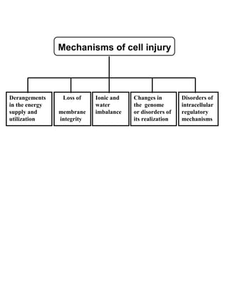 Cell injury | PPT