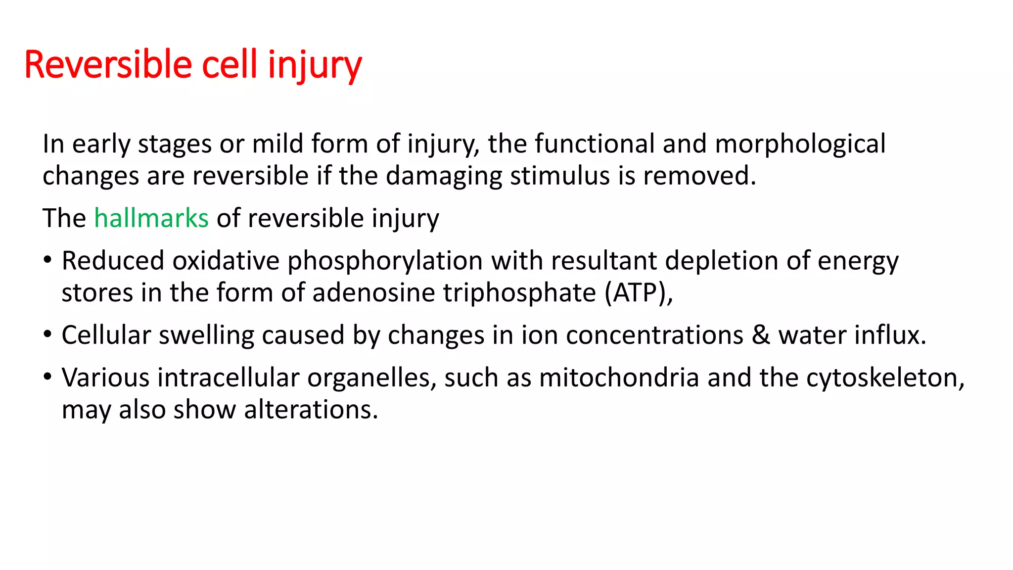 Cell injury pathology | PPTX