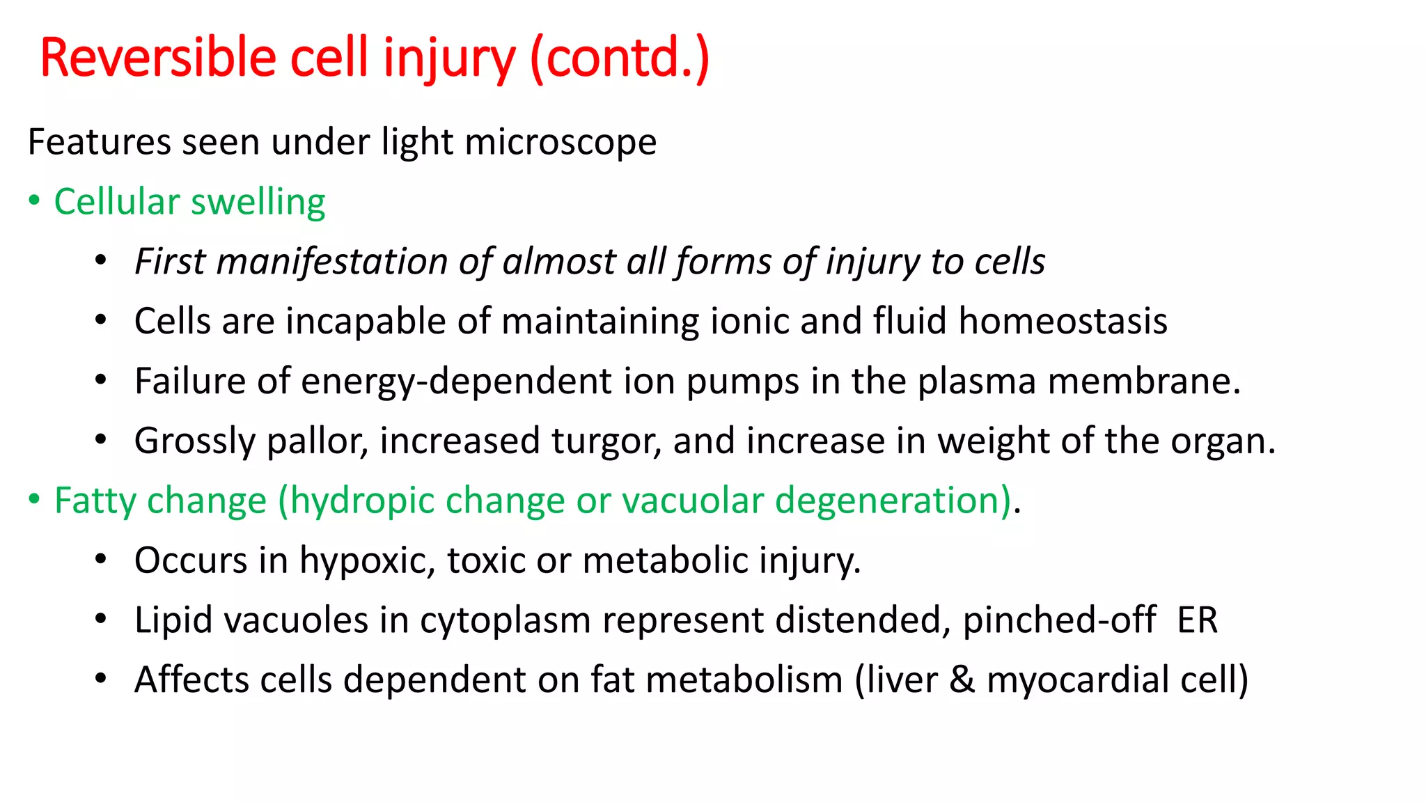 Cell injury pathology | PPTX