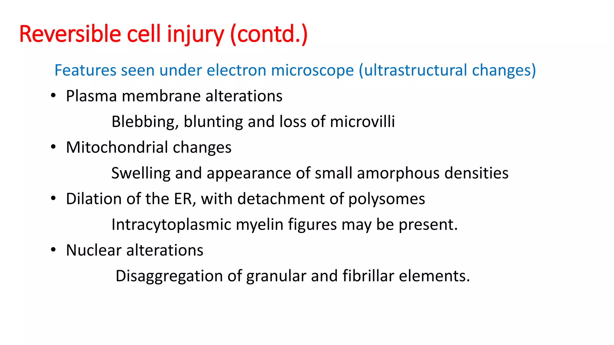Cell injury pathology | PPTX