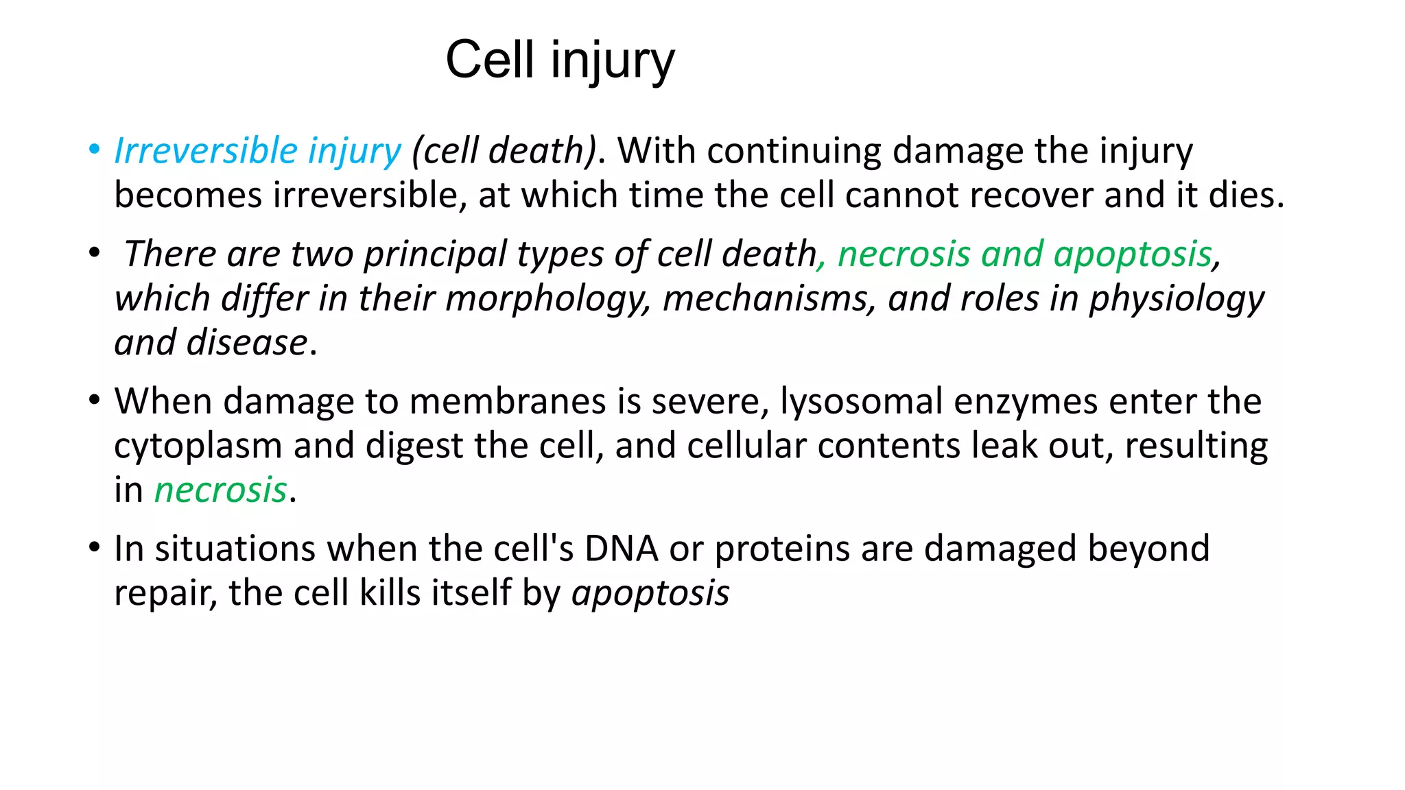 Cell injury pathology | PPTX