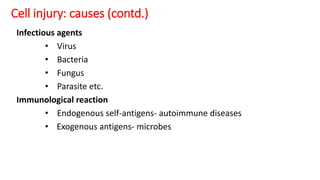 Cell injury pathology | PPTX