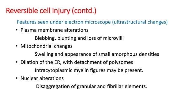 Cell injury pathology | PPTX