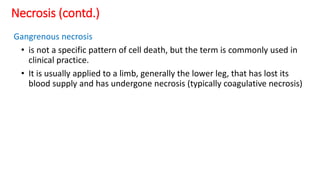 Cell injury pathology | PPTX