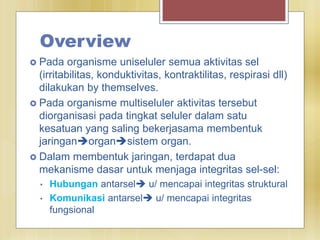 Cell interaction | PDF