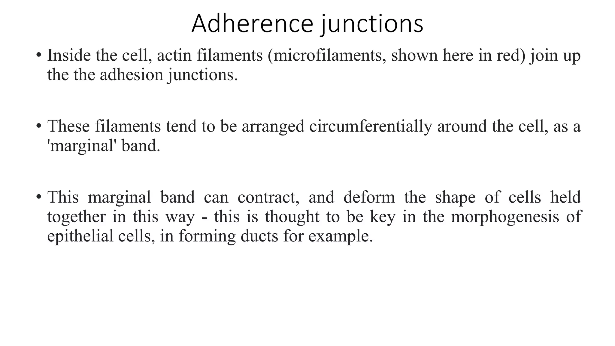 Cell interactions and signal transduction | PPT