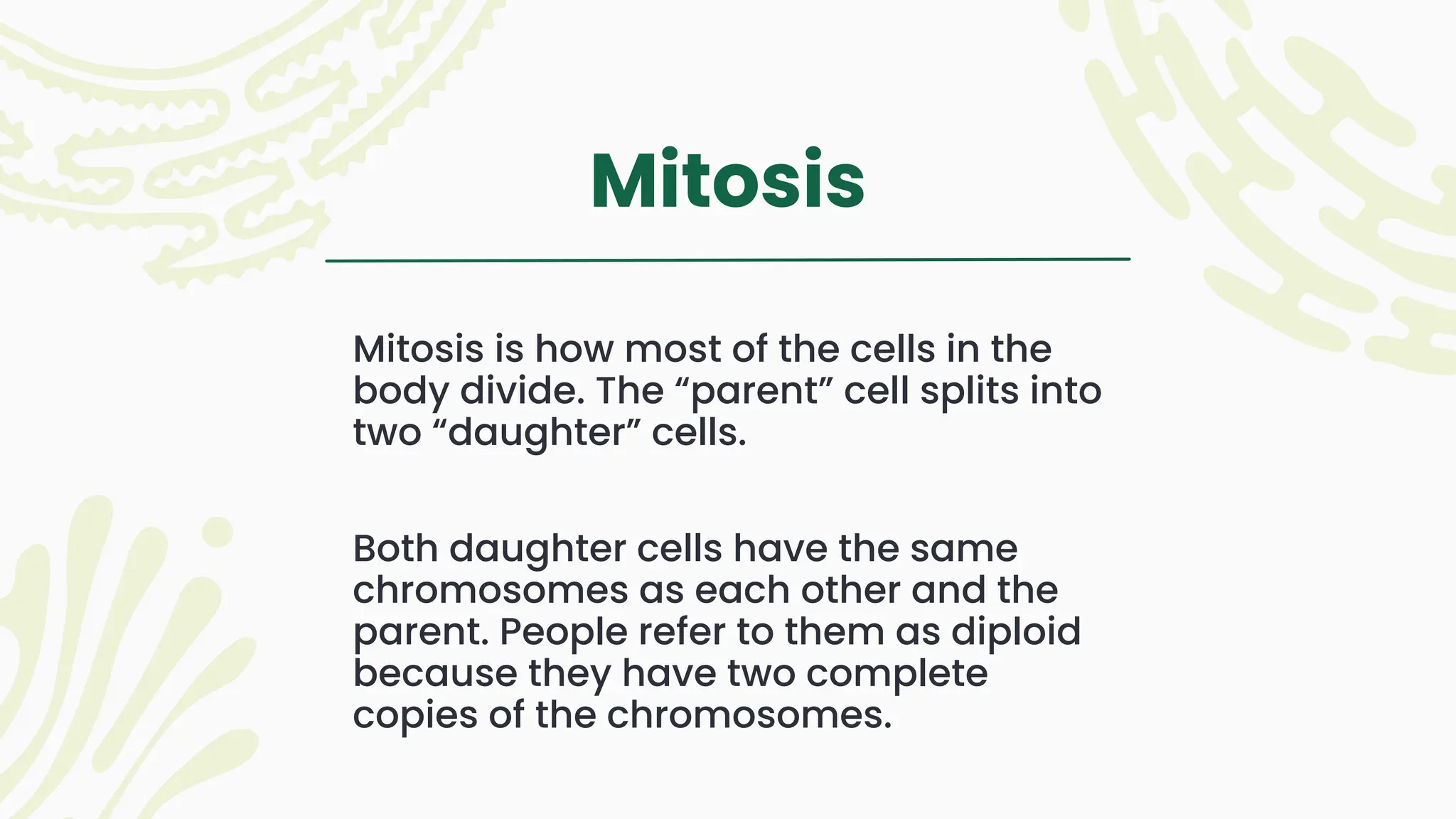 Introduction to Cell: Its Main Parts and Human Cell | PPT