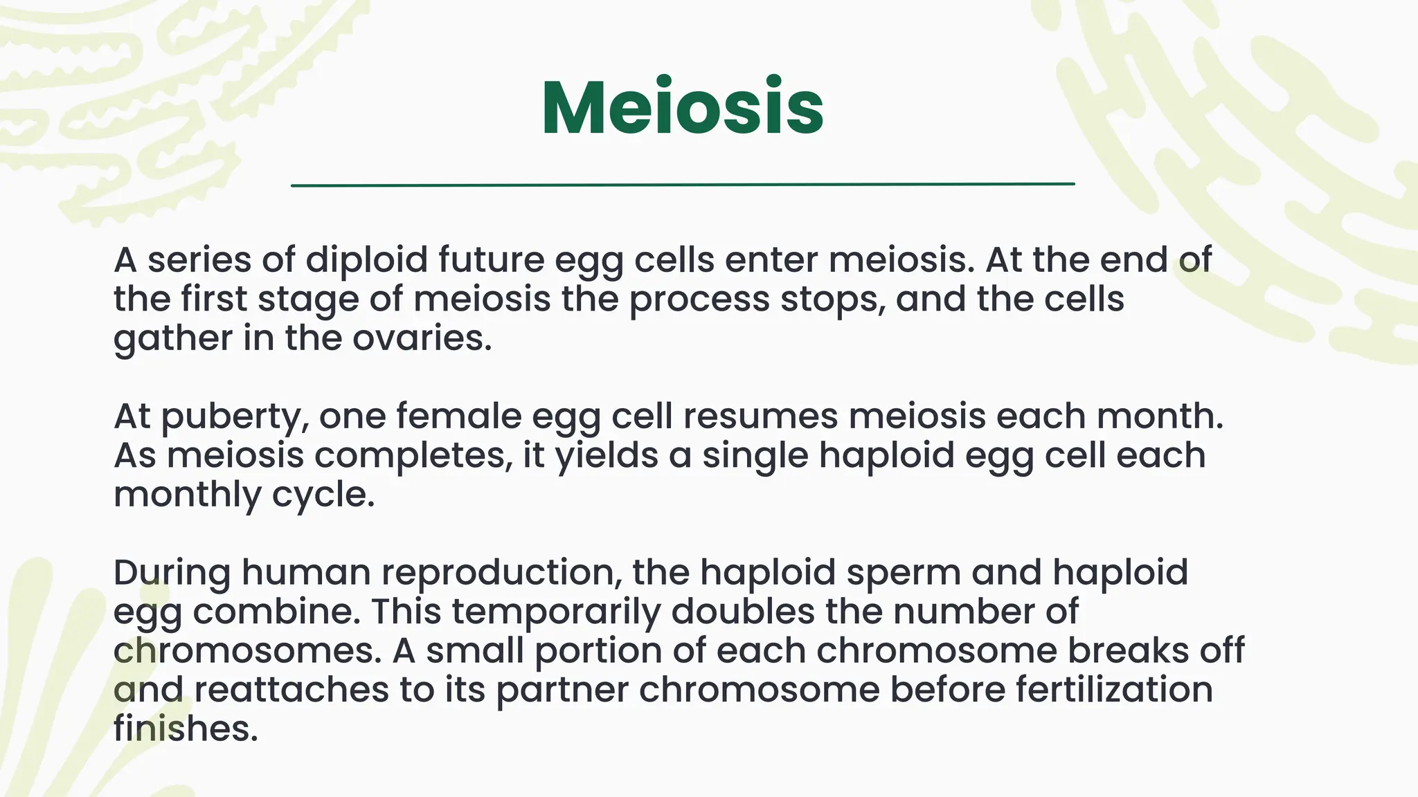 Introduction to Cell: Its Main Parts and Human Cell | PPT