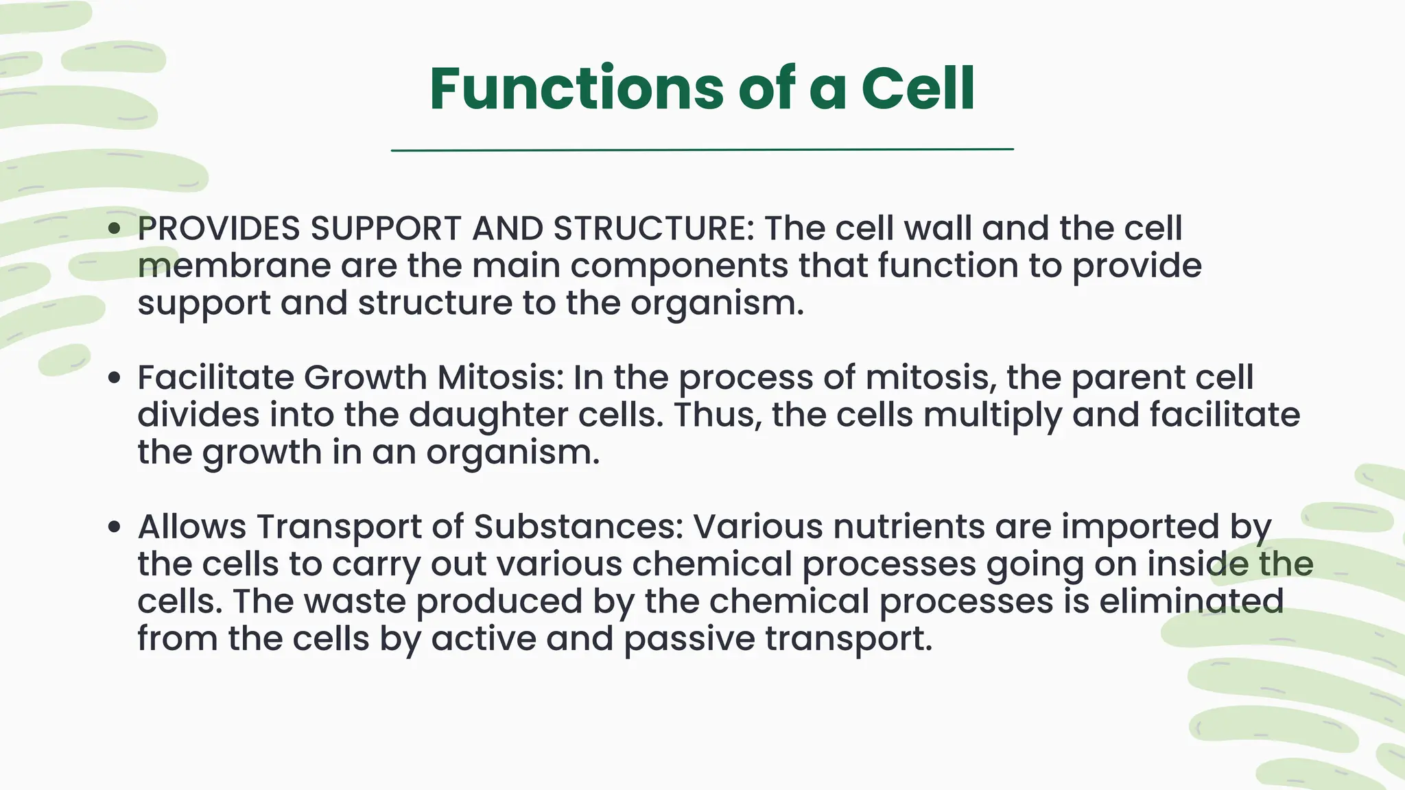 Introduction to Cell: Its Main Parts and Human Cell | PPT