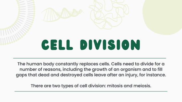 Introduction to Cell: Its Main Parts and Human Cell | PPT
