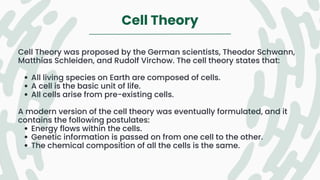 Introduction to Cell: Its Main Parts and Human Cell | PDF