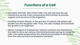 Introduction to Cell: Its Main Parts and Human Cell | PPT