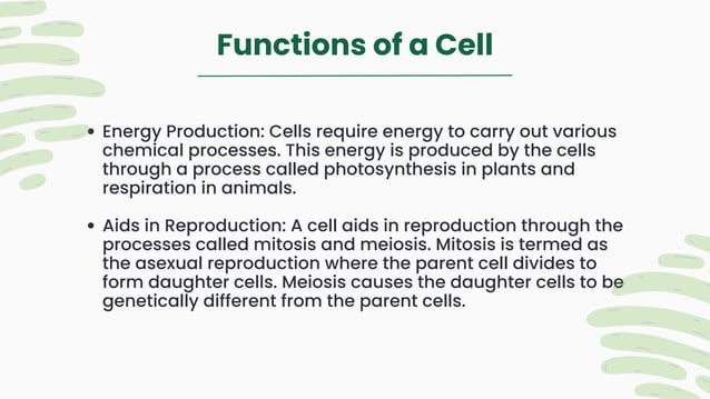Introduction to Cell: Its Main Parts and Human Cell | PPT