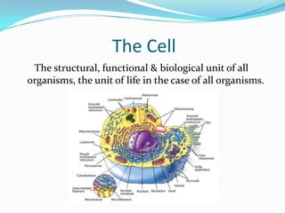 Cell Introduction and Cell Differentiation | PPTX