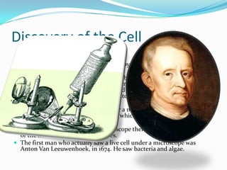 Cell Introduction and Cell Differentiation | PPTX