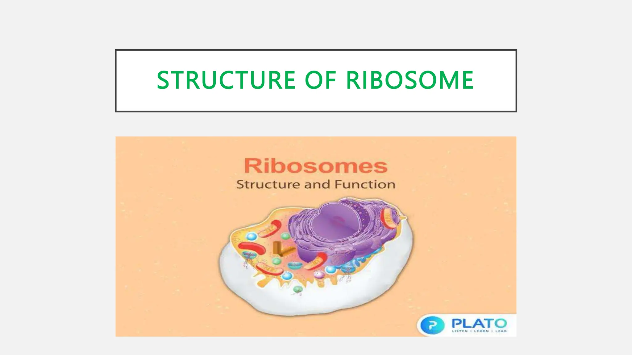 Cell introduction, definition , structure and function , slide share .pptx