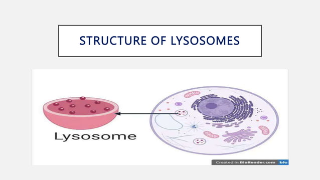 Cell introduction, definition , structure and function , slide share .pptx