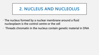 Cell introduction, definition , structure and function , slide share .pptx