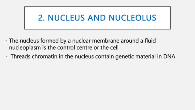 Cell introduction, definition , structure and function , slide share .pptx