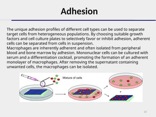 cell isolation and its method for all types of cell | PPT