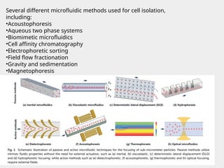 cell isolation and its method for all types of cell | PPT