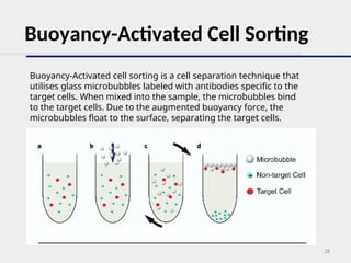 cell isolation and its method for all types of cell | PPT
