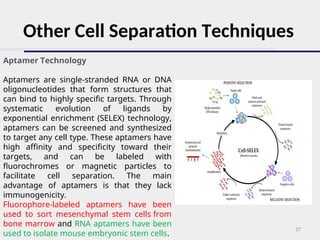 cell isolation and cell isolation methods | PPT