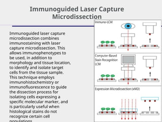 cell isolation and cell isolation methods | PPT