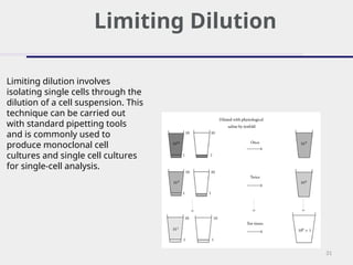 cell isolation and cell isolation methods | PPT