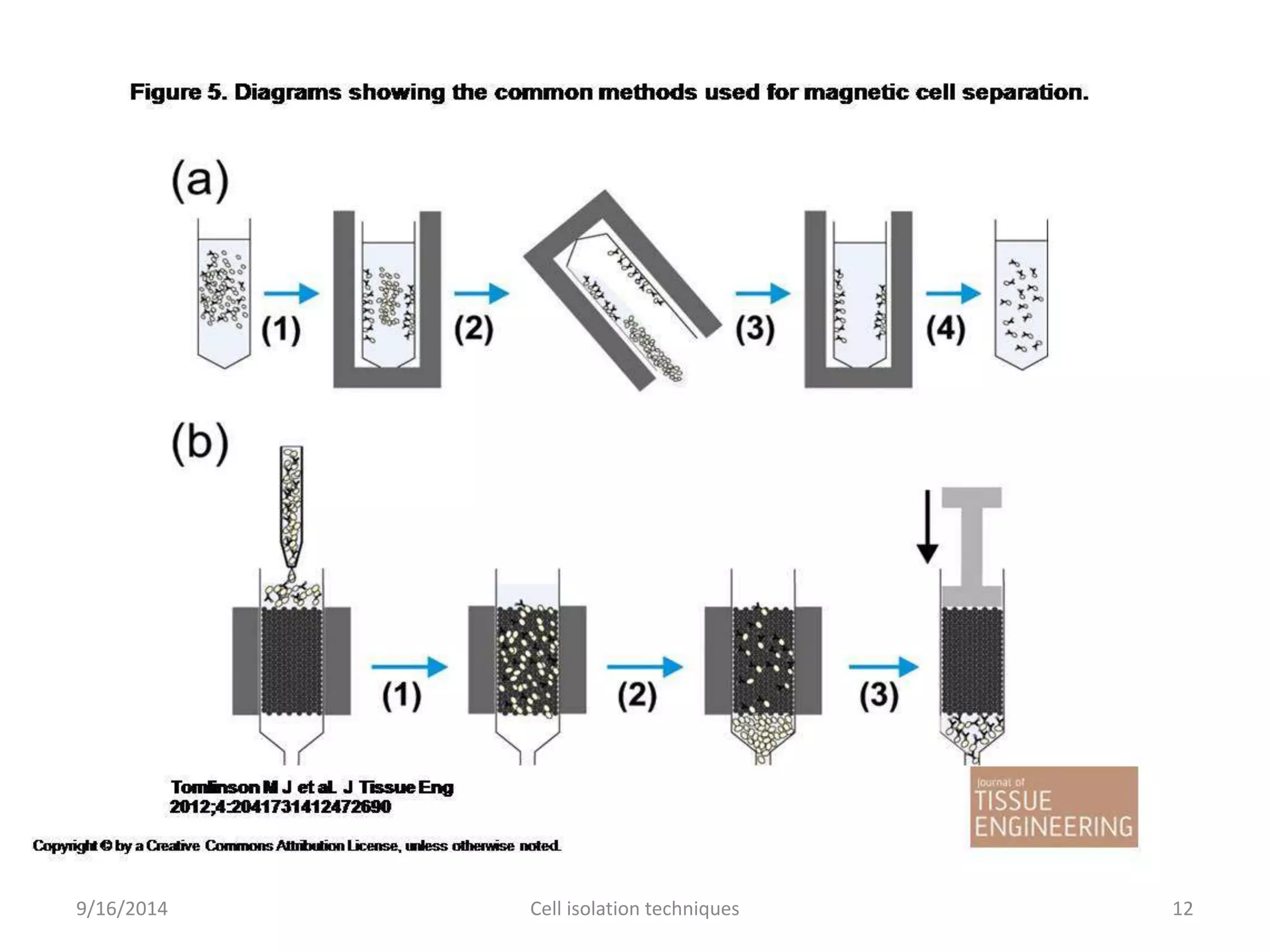 Cell isolation technique | PPTX