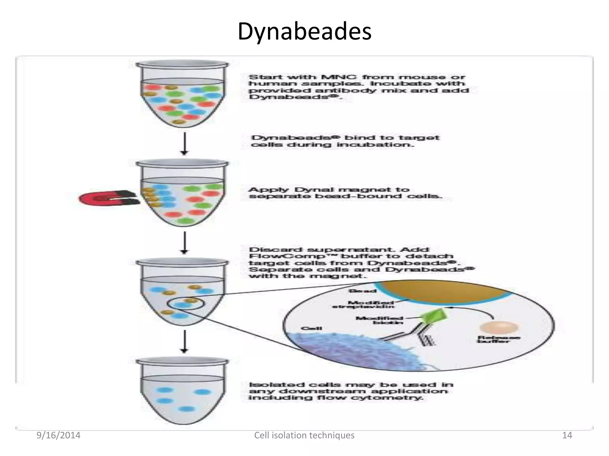 Cell isolation technique | PPTX