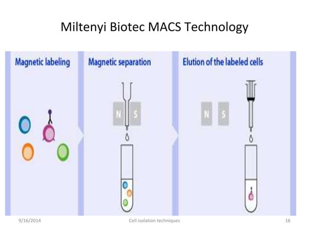 Cell isolation technique | PPTX